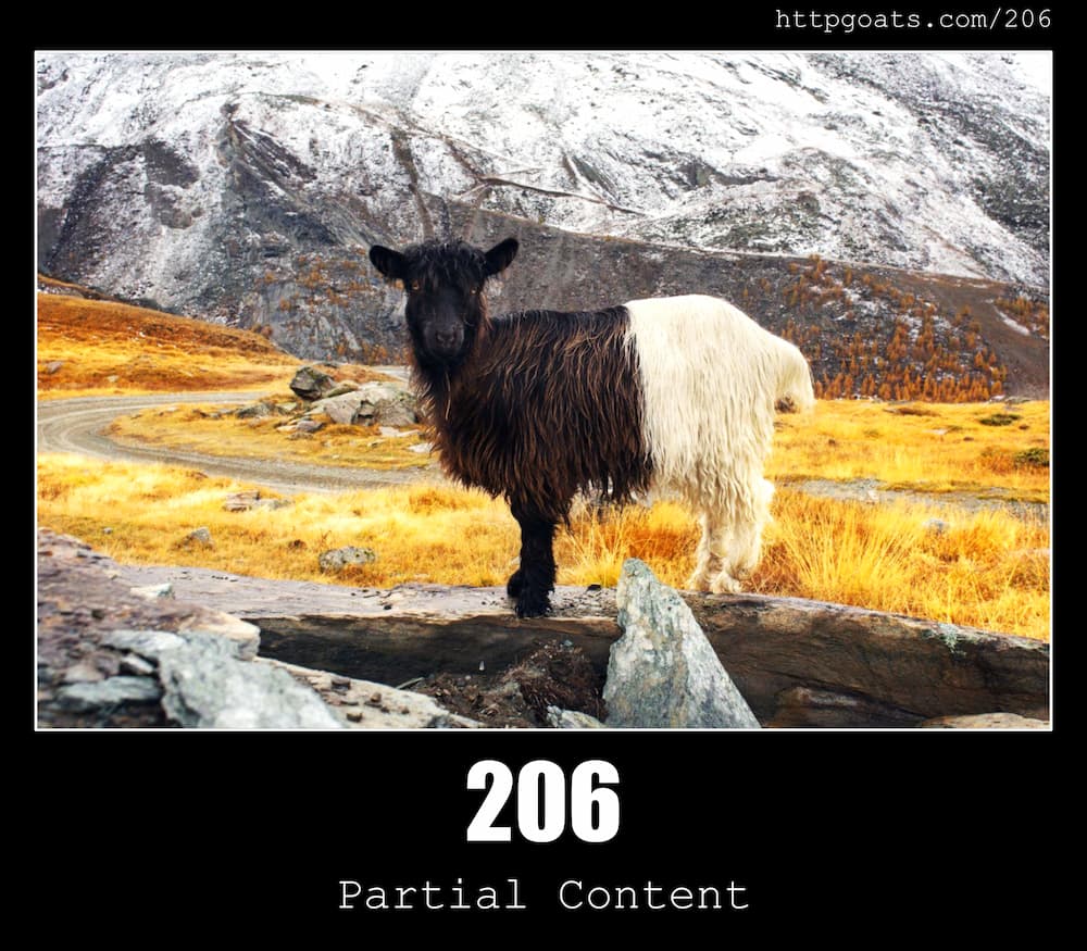 206 Partial Content HTTP Status Code And Dogs 
