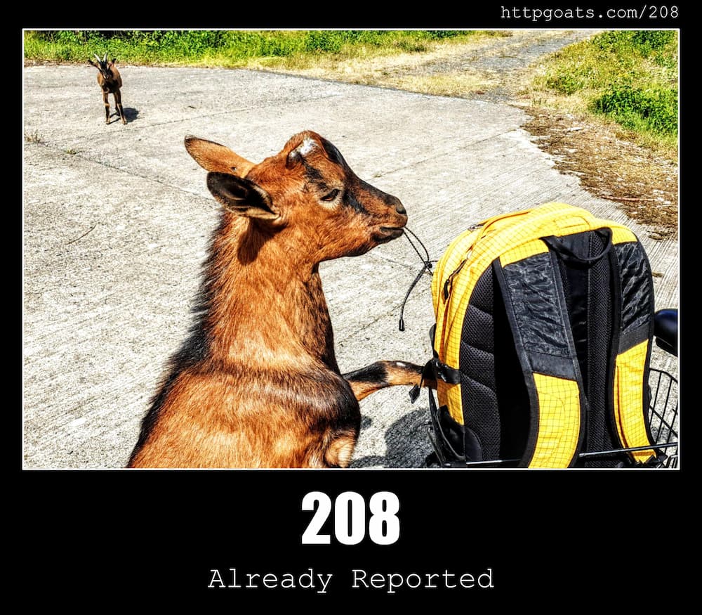208 Already Reported - HTTP status code and goats!