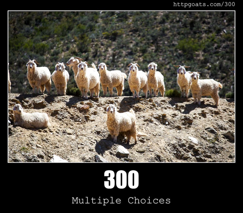 300 Multiple Choices - HTTP status code and cats!