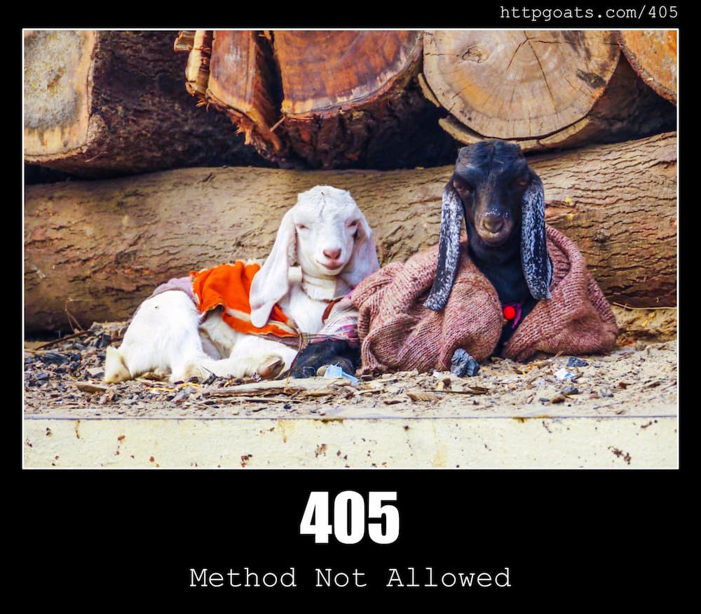 405 Method Not Allowed HTTP Status Code And Cats 