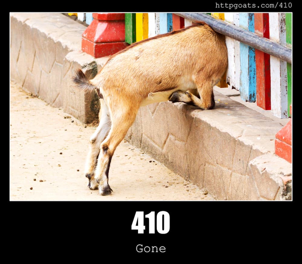 410 Gone HTTP Status Code And Cats 