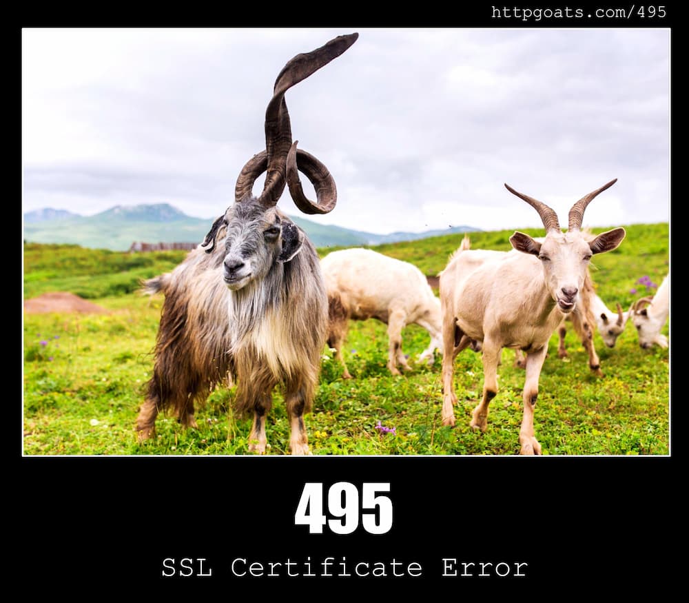 HTTP Status Goats API - A goat image for every HTTP Status Code