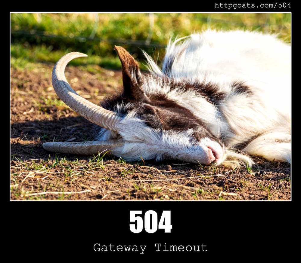 504 Gateway Timeout - HTTP status code and dogs!