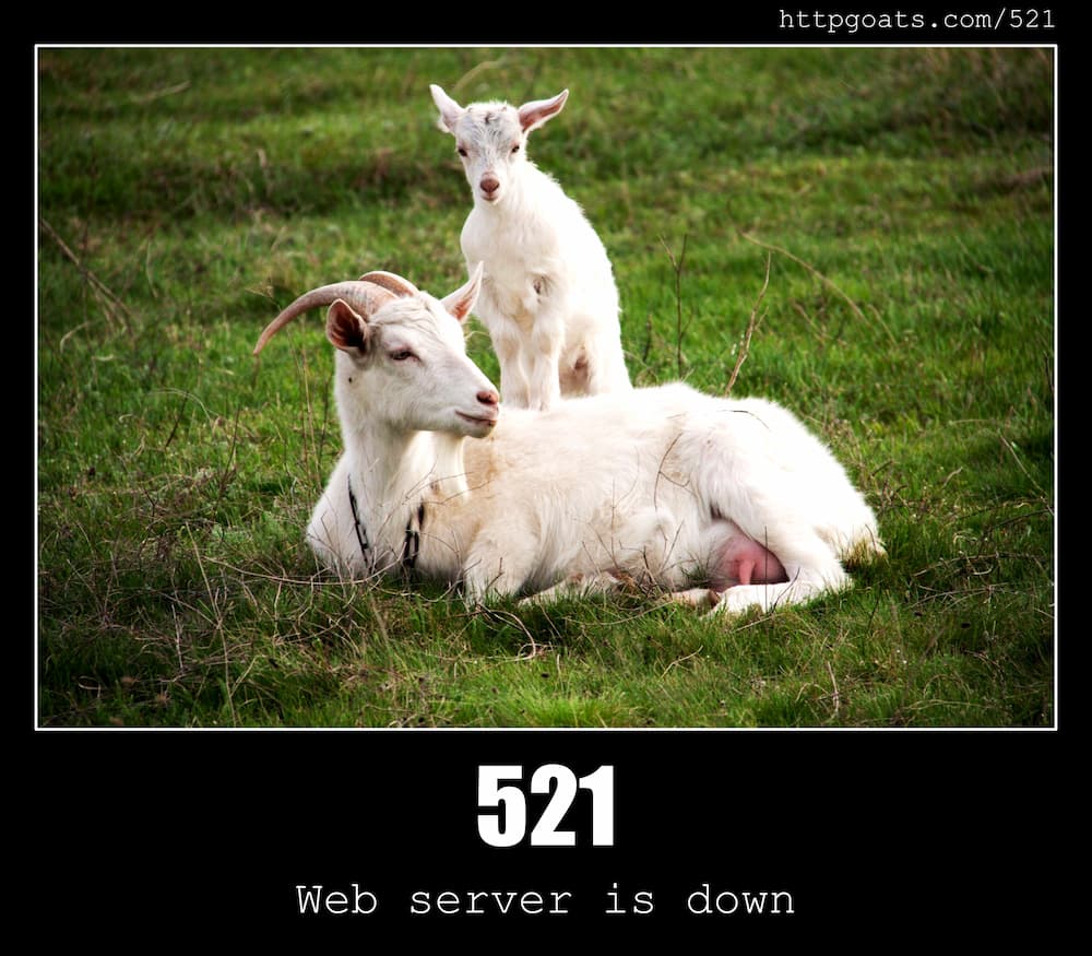 521 Web Server Is Down HTTP Status Code And Cats 521-web-server-is-down-http-status-code-and-cats