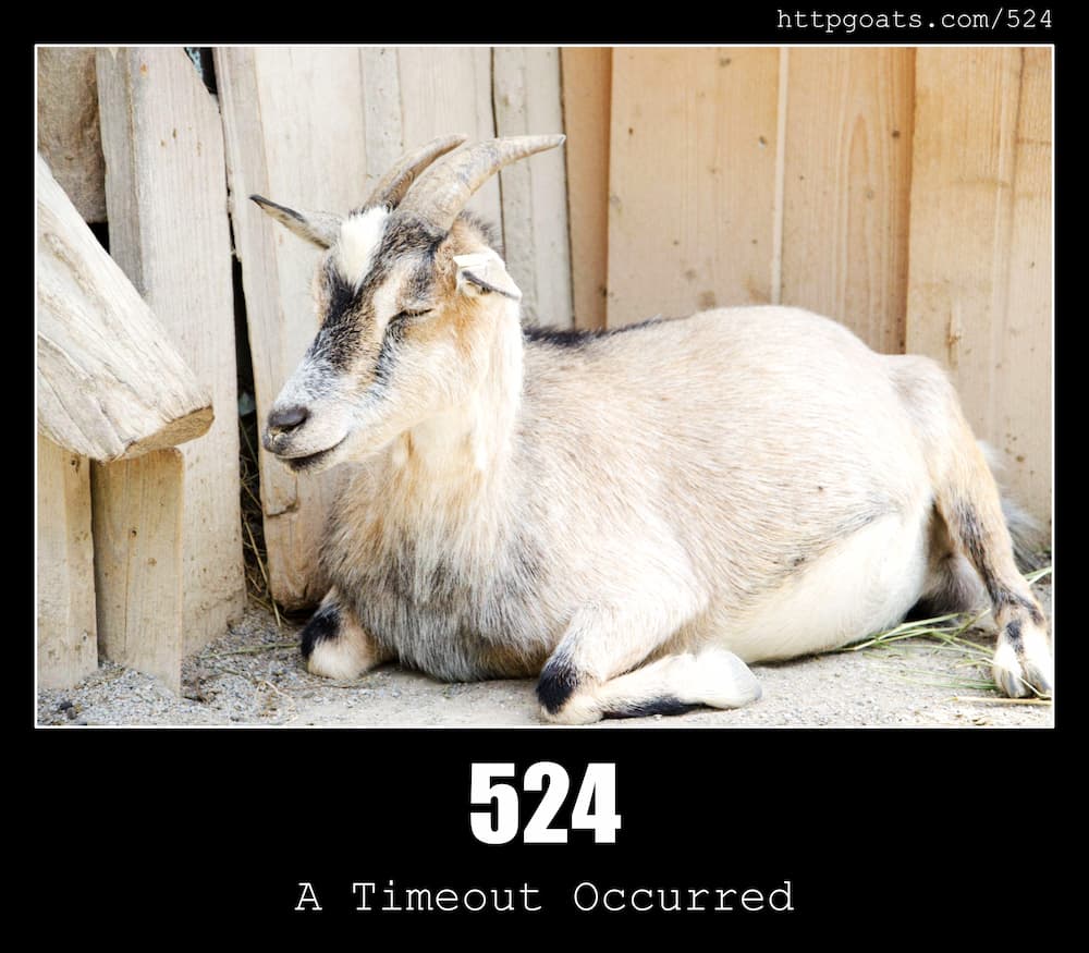 524 A Timeout Occurred - HTTP status code and cats! 524 A Timeout Occurred - HTTP status code and cats!