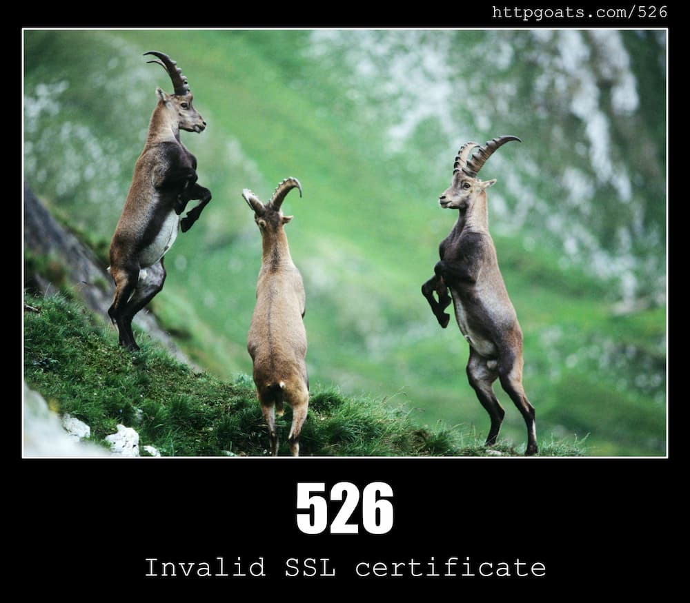 HTTP Status Goats API - A goat image for every HTTP Status Code
